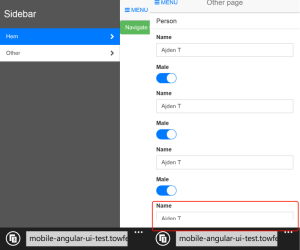 Mobile Angular UI with Bootstrap 3 – Towfeek Solutions AB
